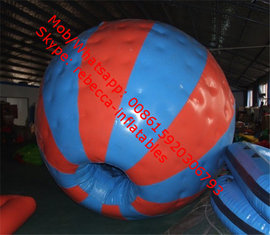 China zorb ball zorb ball rental football inflatable body zorb ball soccer zorb ball supplier