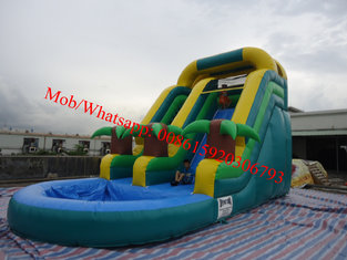 China Commercial Tropicmarble14ft Waterslide Inflatable supplier