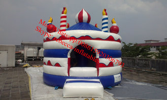 China birthday party cake inflatable bouncer house supplier