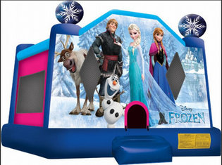 China bouncy castle frozen bouncy castle frozen supplier