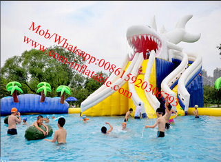 China Gaint Water slide inflatable pool withJumping Bouncer water park slides for sale supplier
