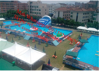China giant inflatable pool slide for adult pool water slides slides for swimming pool supplier