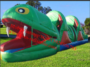 China Frog Rent Large Inflatable Obstacle Course supplier