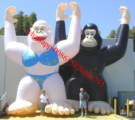 China 25ft inflatable male and female gorilla for advertising supplier