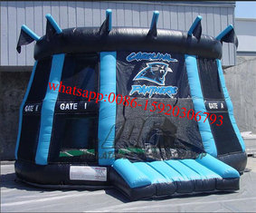 China Carolina Panthers Stadium Bounce supplier
