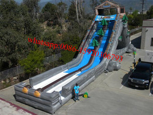 China giant snow slide inflatable , giant snow slide, inflatble toboggan slide , snow slide supplier