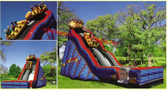 China Wild One Slide supplier