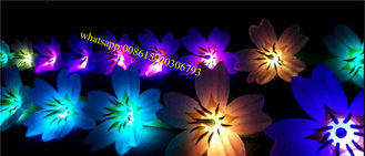 China flower for inflatable decoration ,  inflatable flower , inflatable led balloon , led balloon light supplier