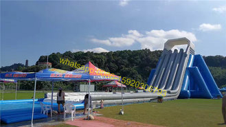 China giant infltable water slide kids and adults supplier