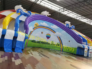 China rainbow giant water slide with pool supplier