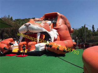 China giant tiger bouncy castle slide supplier