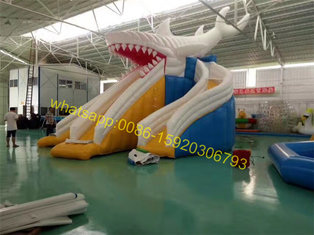 China giant shark slide water supplier
