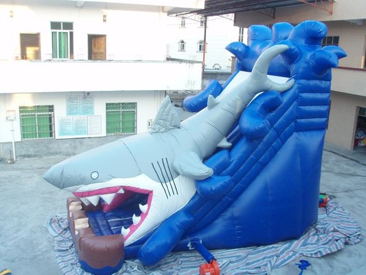 Inflatable Slides Inflatable Shark Slide For Kids supplier