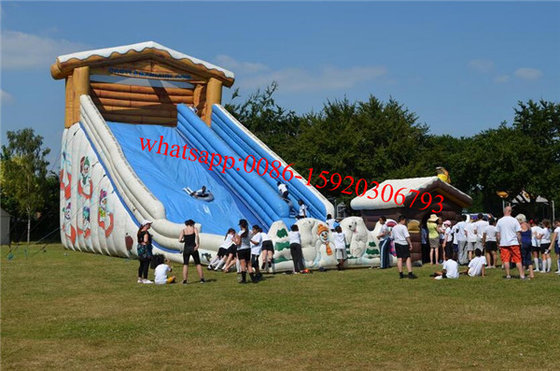giant snow slide inflatable , giant snow slide, inflatble toboggan slide , snow slide supplier