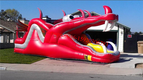 Dragon Water slide supplier