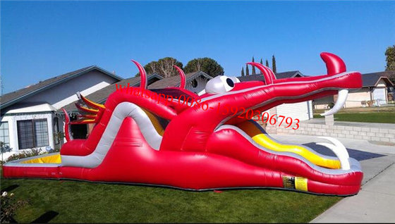 Dragon Water slide supplier