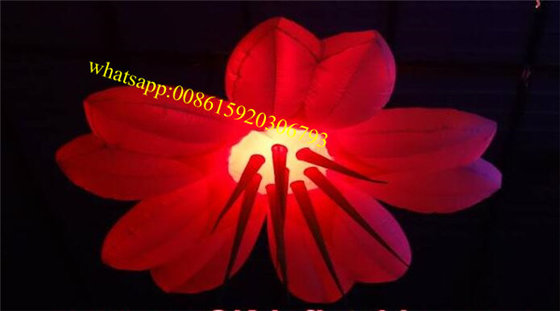 inflatable flowers decorations , balloon led , led light balloon , inflatable flower ,inflatable night club decor supplier
