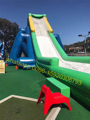 hippo giant inflatable water slide for kids and adults supplier