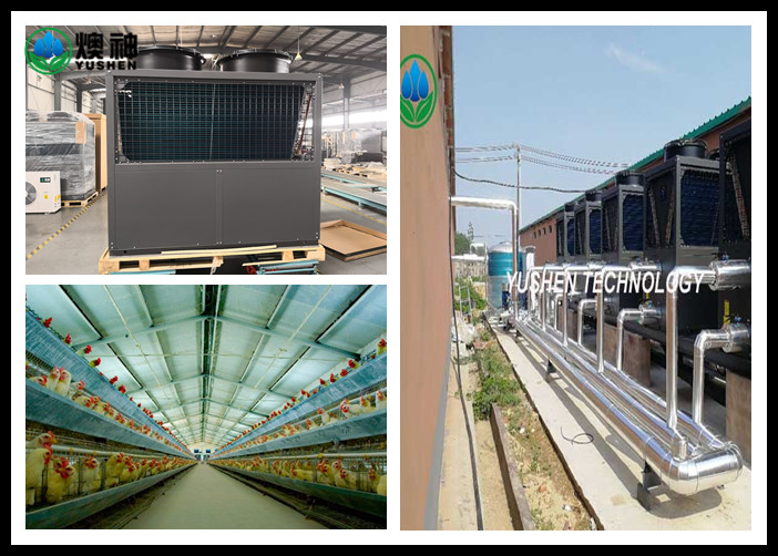 Meat Chicken Farm Central Air Source Heat Pump With Copeland Compressor