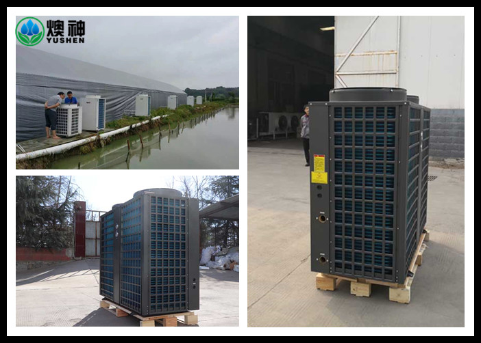 Fishies Pool Air Source Heat Pump , High Efficiency Air Source Central Heating System