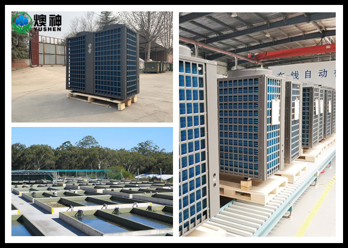 Finshing Pool Central Air Source Heat Pump With Single Heating Function
