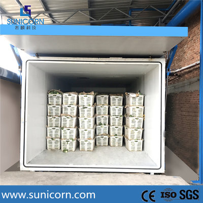 Customizes 1 -12 pallets vacuum cooler for vegetable pro-cooling