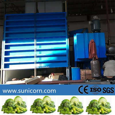 Industrial Vacuum Pre Cooling Machine 6 Pallets For Cooling Fresh Produce After Harvest