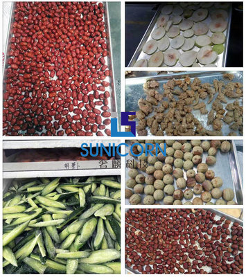 CE Approved Fruit Vacuum Freeze Drying Machine 30sqm 300kg Capacity