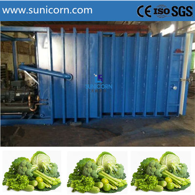 500kg Capacity Vacuum Cooling Equipment 1 Pallet 500-700kg Per Cycle Capacity