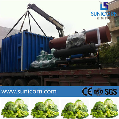 Commercial Field Vegetable Vacuum Cooler Modern Facility Low Temperature