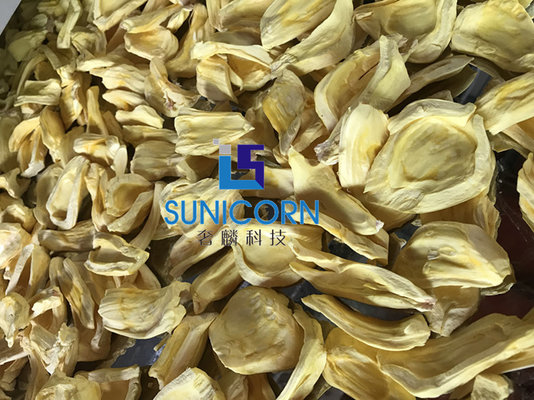 100sqm 1000kg Vacuum Commercial Food Freeze Dryer for jackfruit , Industrial Freeze Drying Machine
