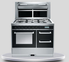 XS-889B Intergrated Gas Hob Electric Oven Cabinet 220V XSKITCHEN Brand OEM supplier