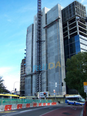 China Single Mast 450 Mast Climbing Equipment / adjustable work platforms with 10.2 Length supplier
