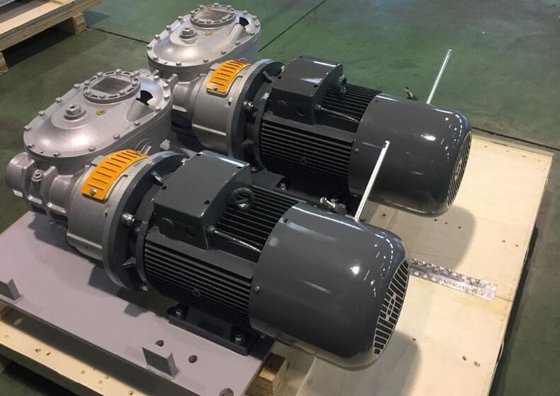 Gear Motor Type Rack and Pinion Hoists 2 Tons with Customized Logo for Euro supplier