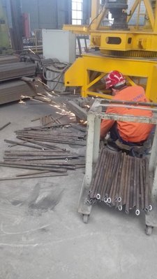 Required Logo 55kg Mast builder hoist safety for Construction Engineering supplier