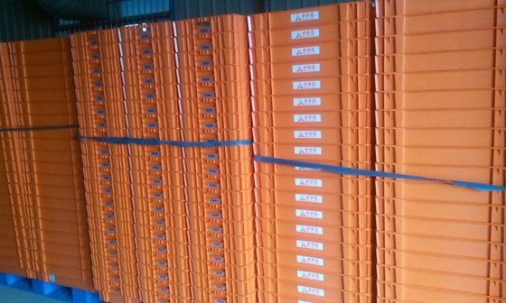 Plastic Box Fold Container for Storage or Transportation