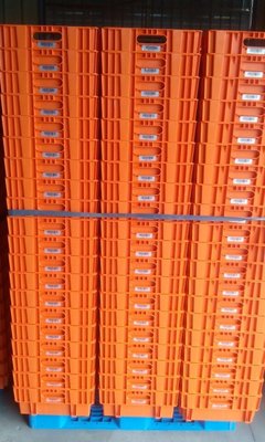 Plastic Box Fold Container for Storage or Transportation