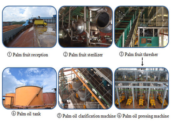 New technology palm oil mill plant, from palm fruit to palm oil machine