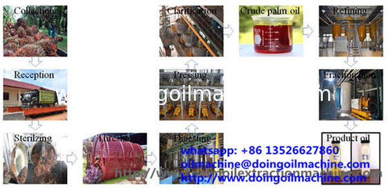 Palm oil production machine, Cost on Setup Palm Oil Processing Mill in Nigeria