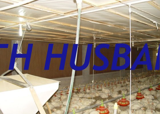 Poultry control house equipments