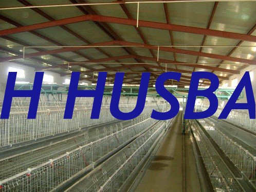 Feeding, Drinking, Lighting, Heating, Ventilation, Feed Storage and Transport, Layer Cages