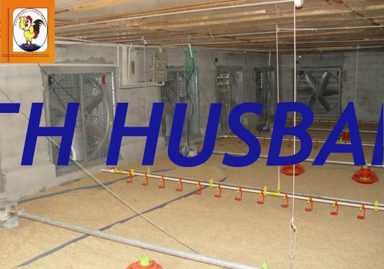  Poultry Equipment Ventilation System  & Feeding System