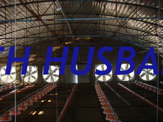 Greenhouse Exhaust Fan