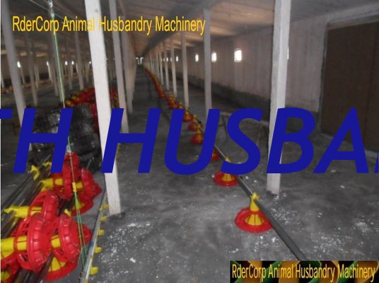 Poultry Pan Automatic Auger Feeding System