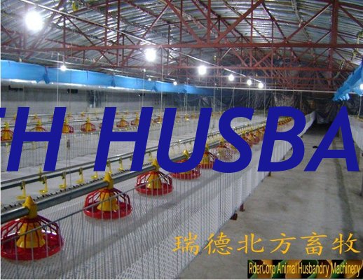 Poultry Pan Automatic Auger Feeding System