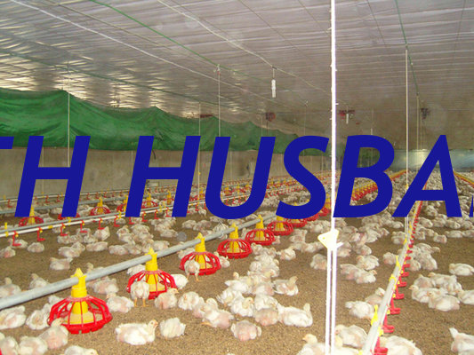 Auto Oil-burning Heating Machine for poultry