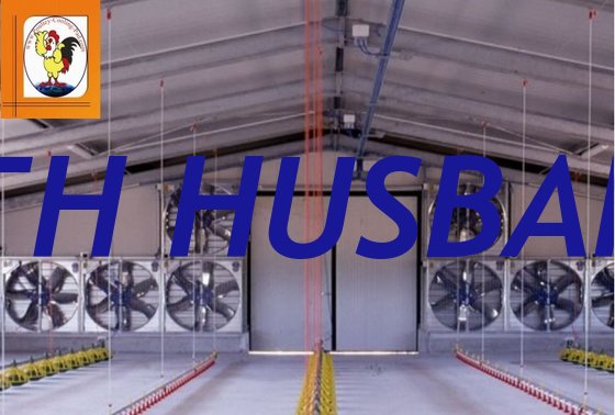 centrifudal shutter exhaust fan use for poultry greenhouse /workshop