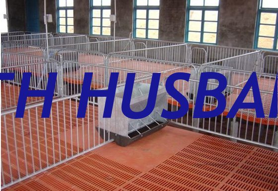 pig breeding equipment 