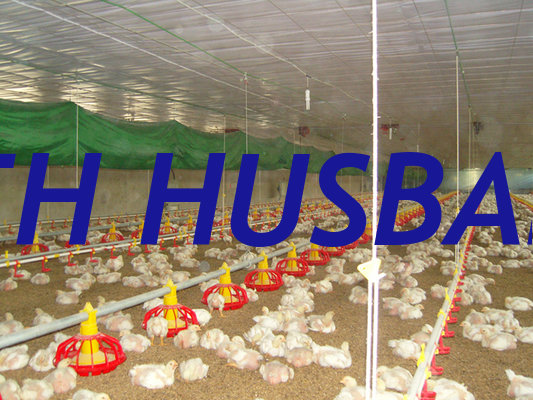 stockline for poultry 