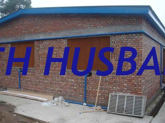 Chicken Cooling System, Animal Husbandry, Poultry